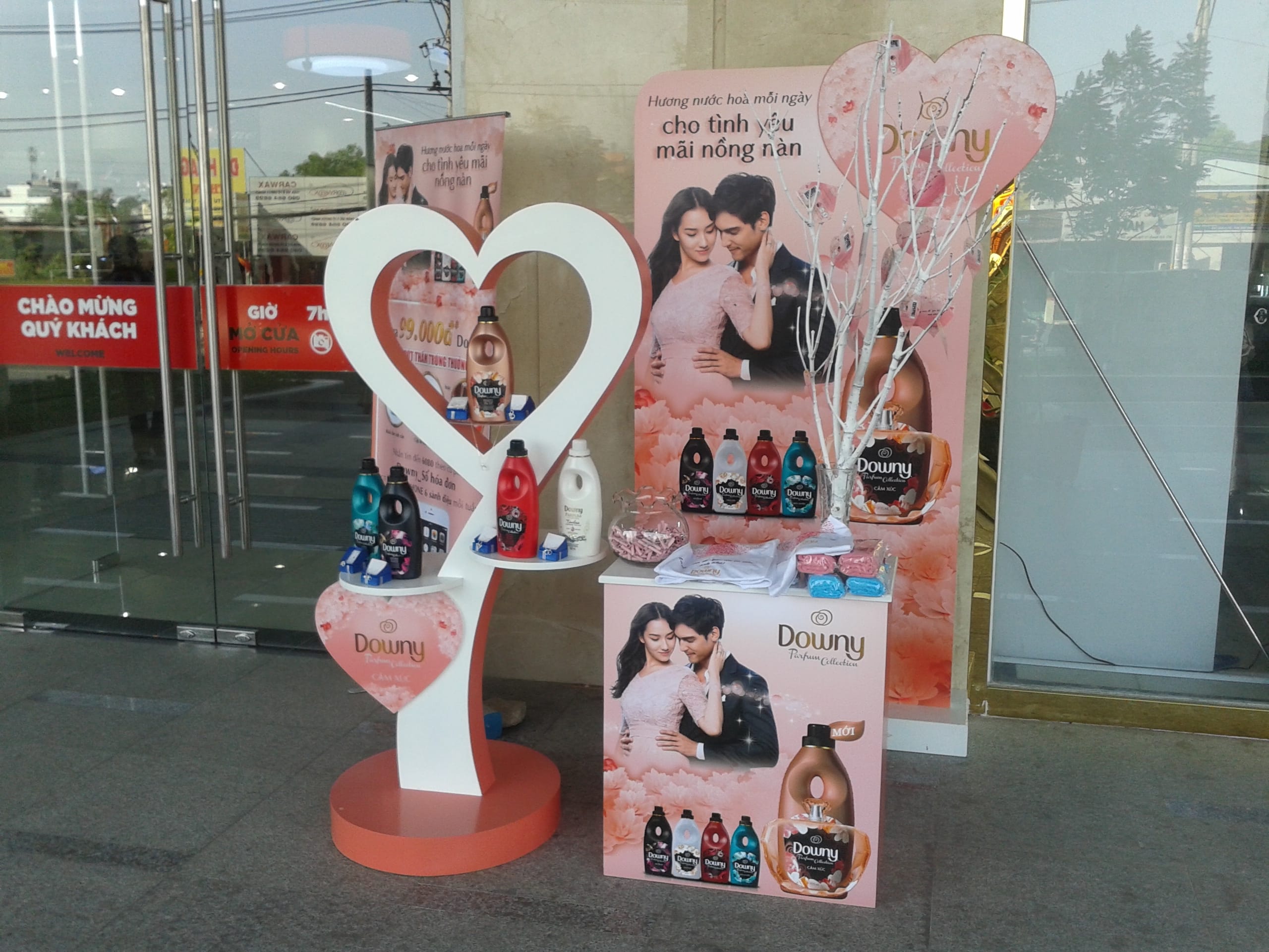 Downy Booth – Cát Thiên Minh